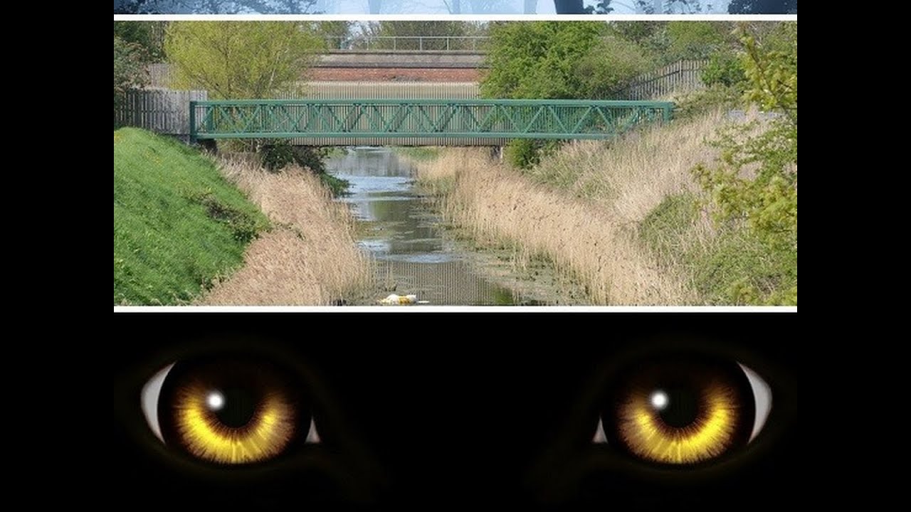 Is the old stinker a werewolf - YouTube