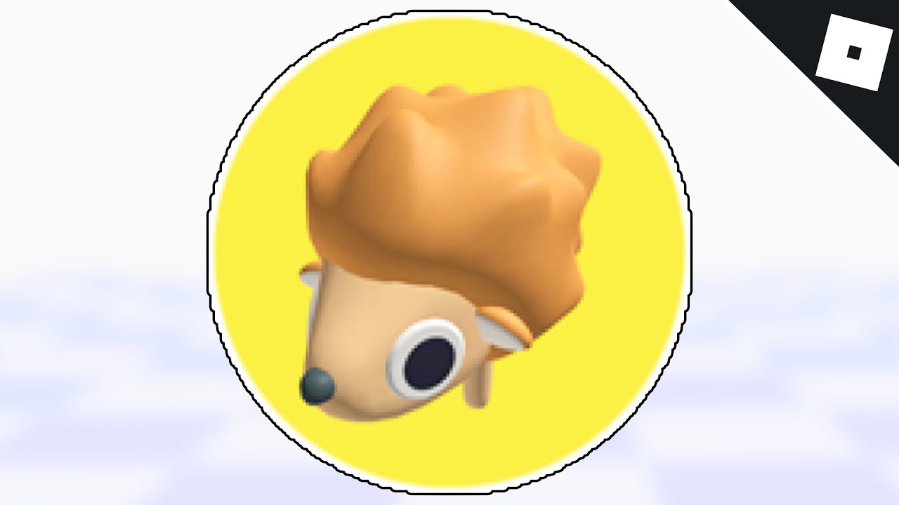 How to get the HEDGEHOG BADGE in FIND THE ANIMALS | Roblox - YouTube