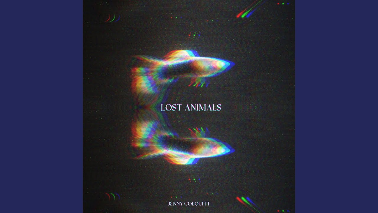 Lost Animals - YouTube