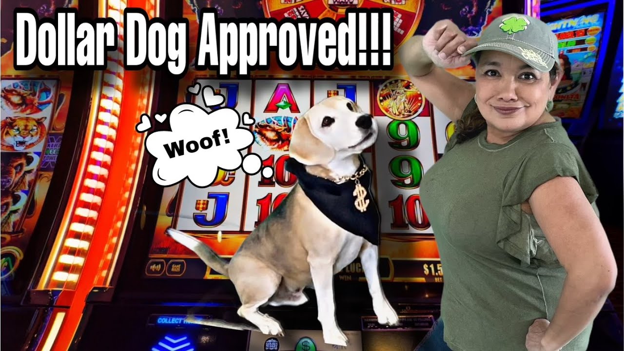 Dollar Dog Presents a FIVE BONUS Countdown in Las Vegas!! - YouTube