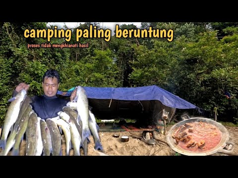 CAMPING PALING BERUNTUNG: ketemu gerombolan ikan mahal di lubuk jarang terjamah