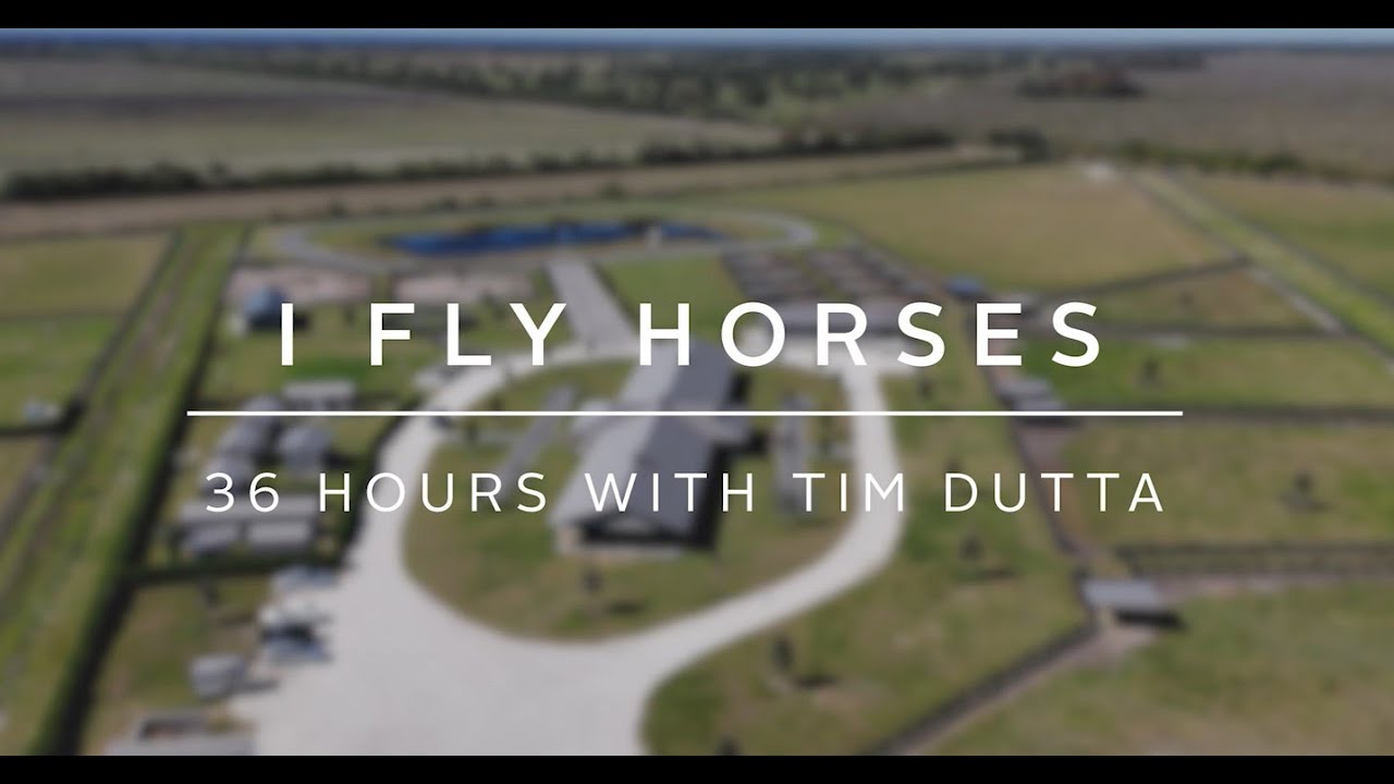 I Fly Horses: 36 Hours with Tim Dutta - YouTube