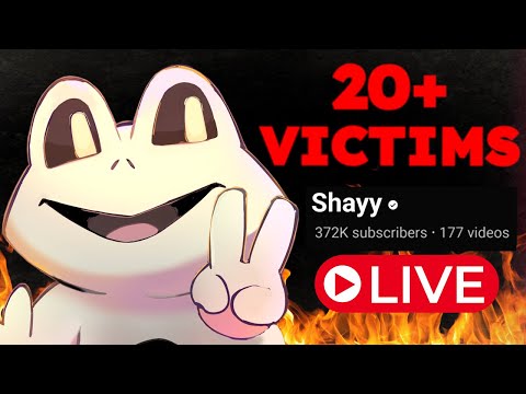 Going Over the Disastrous 250+ Page Doc About Shayy - How to go From Hero to Creep in a Day