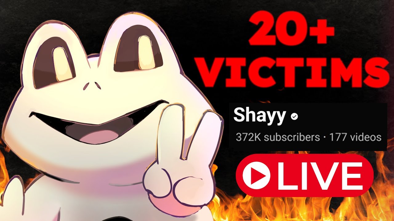 Going Over the Disastrous 250+ Page Doc About Shayy - How to go From ...