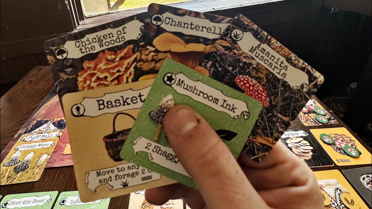 Mushroom Foray Card Game: Forage, Grow, Heal the Earth - YouTube