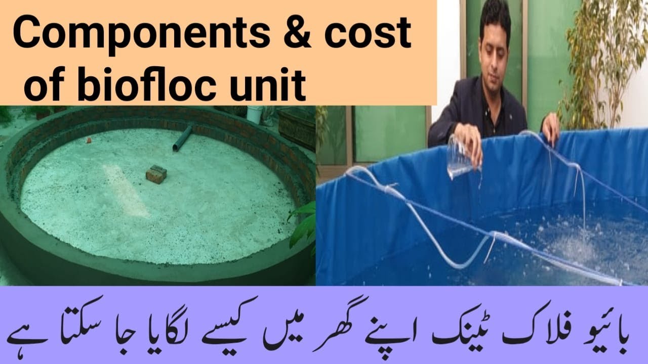 How to Install Biofloc Unit at Home|Components of Biofloc Unit Their ...