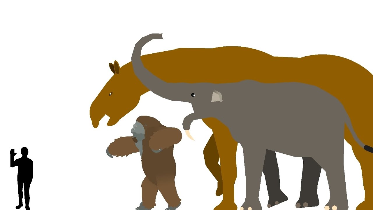 large beasts | size comparison - YouTube