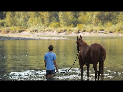 Slow Pulp - Broadview - YouTube