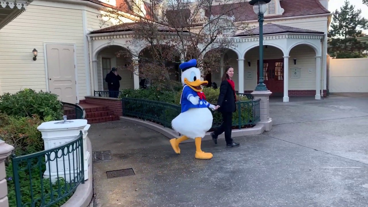 °o° Good Morning Donald Duck ! - YouTube