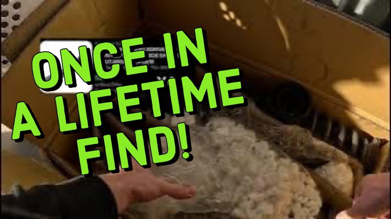 AMAZING Storage Unit Auction Find! - YouTube