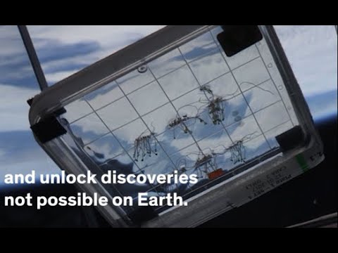 NASA GeneLab: Omics database for spaceflight experiments - YouTube