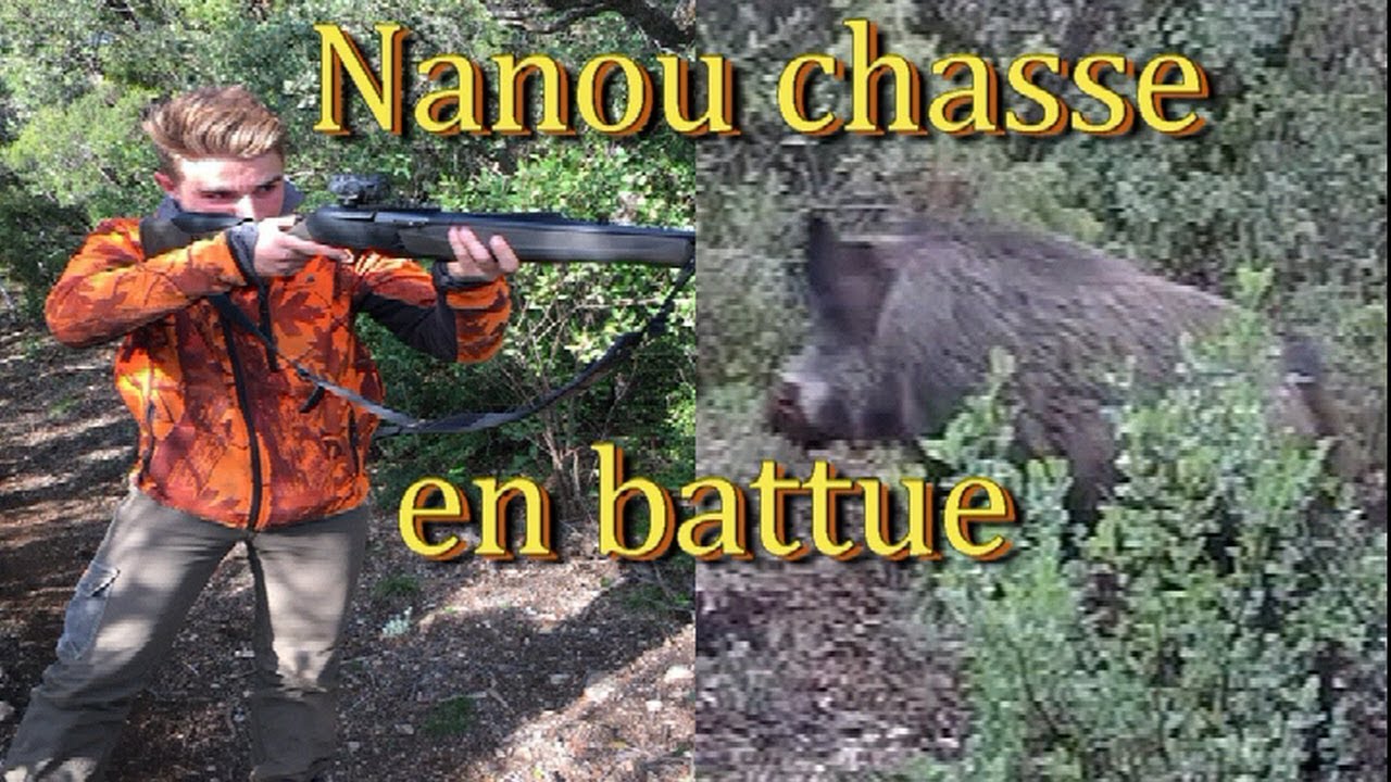 CHASSE AUX SANGLIERS. TROIS SCÈNES MAGNIFIQUES... - YouTube