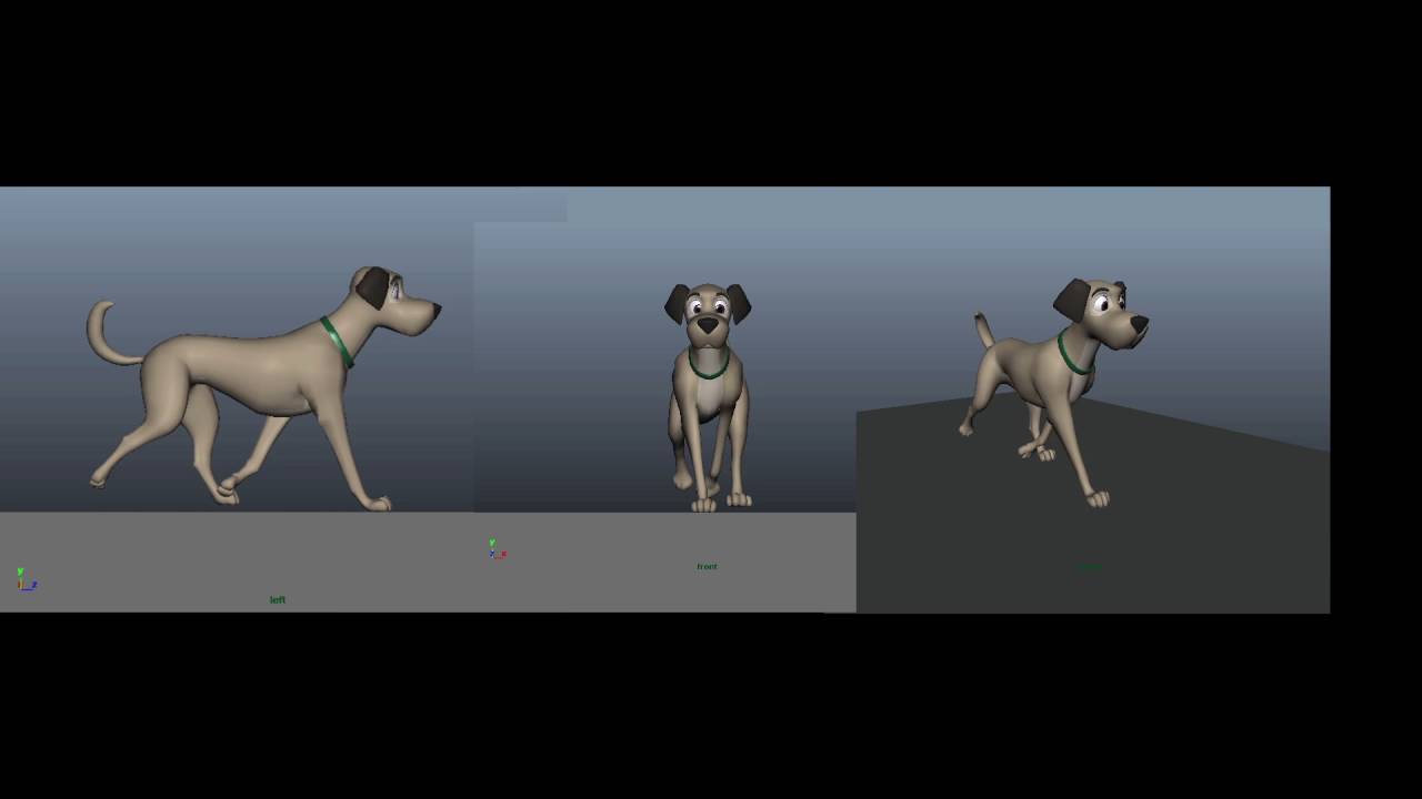 Dog 3D animated walk cycle - YouTube
