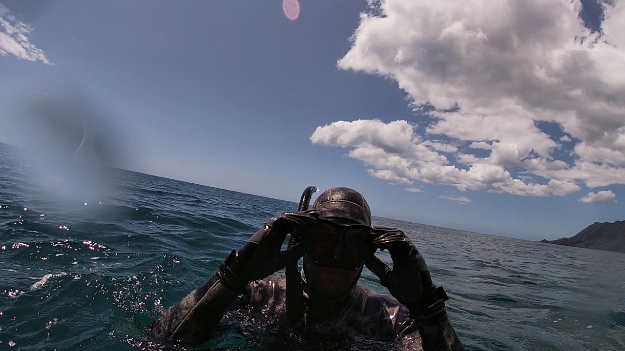 Cape runaway 2020 - YouTube