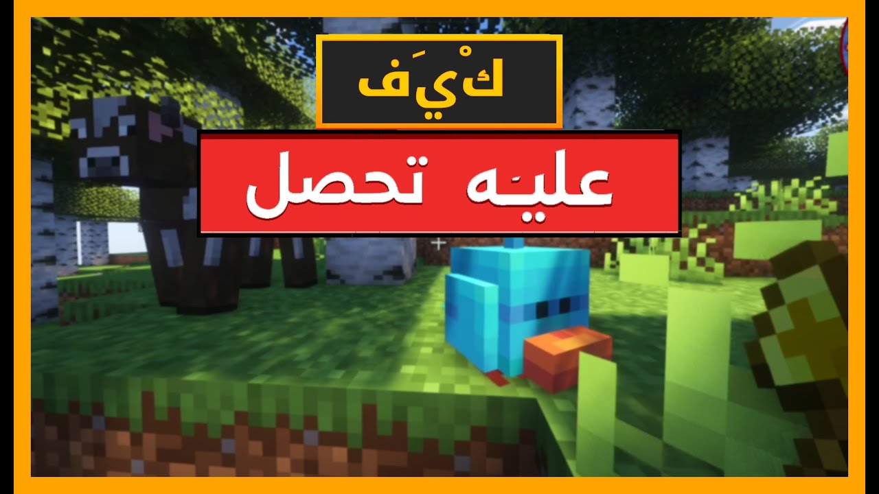 كيفية استخدام Birt وأعشاشها في MINECRAFT مع الأنواع - YouTube