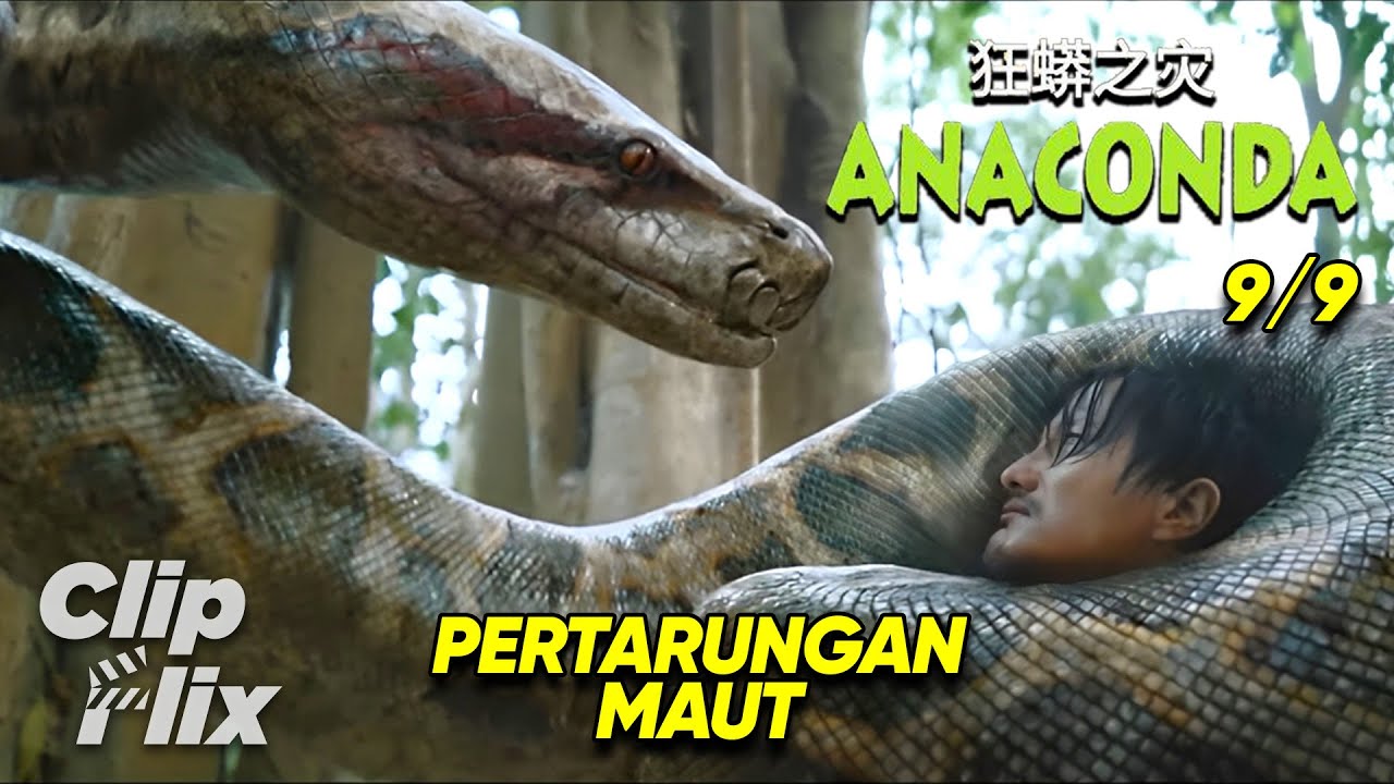 Anaconda: Cursed Jungle (9/9) | Pertarungan Maut | Cuplikan Film ...