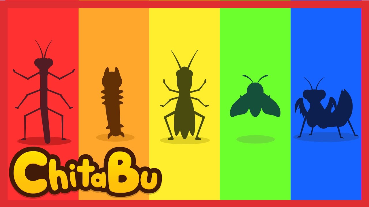 Spannende Insektenlieder🪳 | Liedersammlung | Beliebte Kinderlieder | # ...