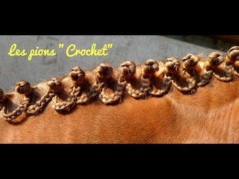 Pionter la criniére : Style ''Crochet'' ️ - YouTube