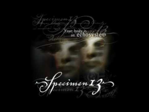 Specimen 13 1984 - YouTube