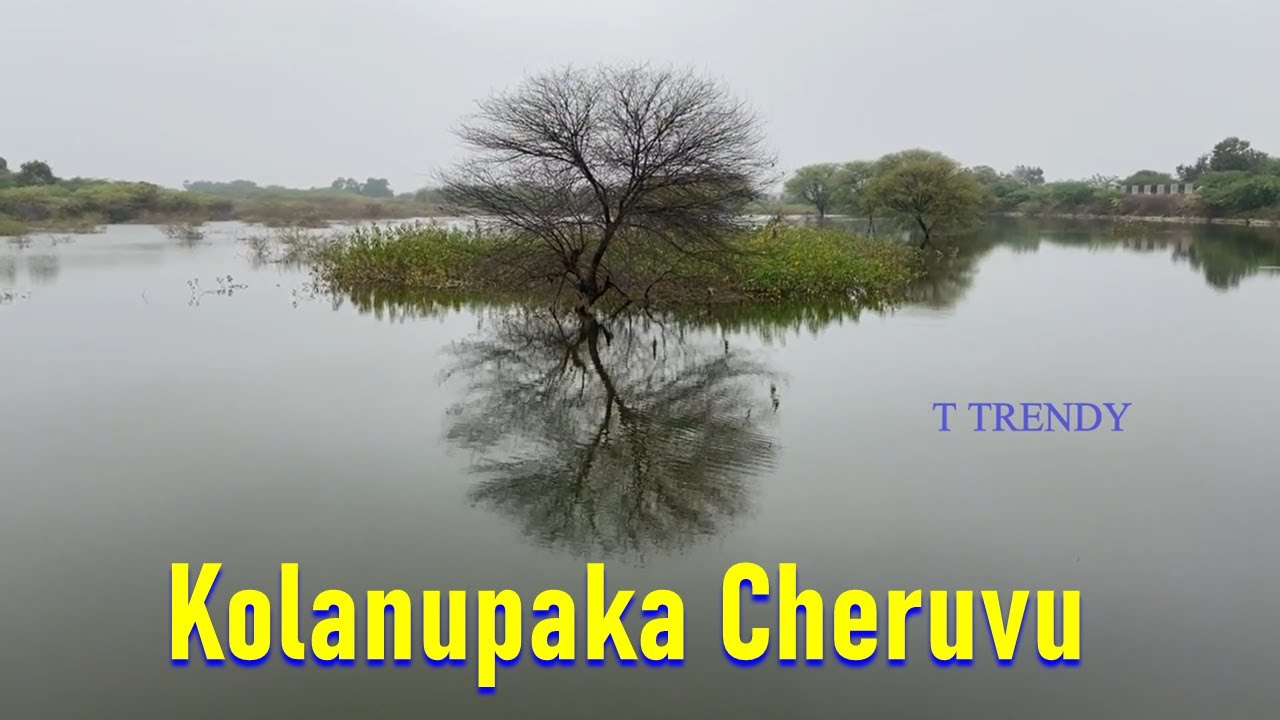 Kolanupaka Cheruvu | Kolanupaka Lake | Someshwara Temple in Kolanpaka ...