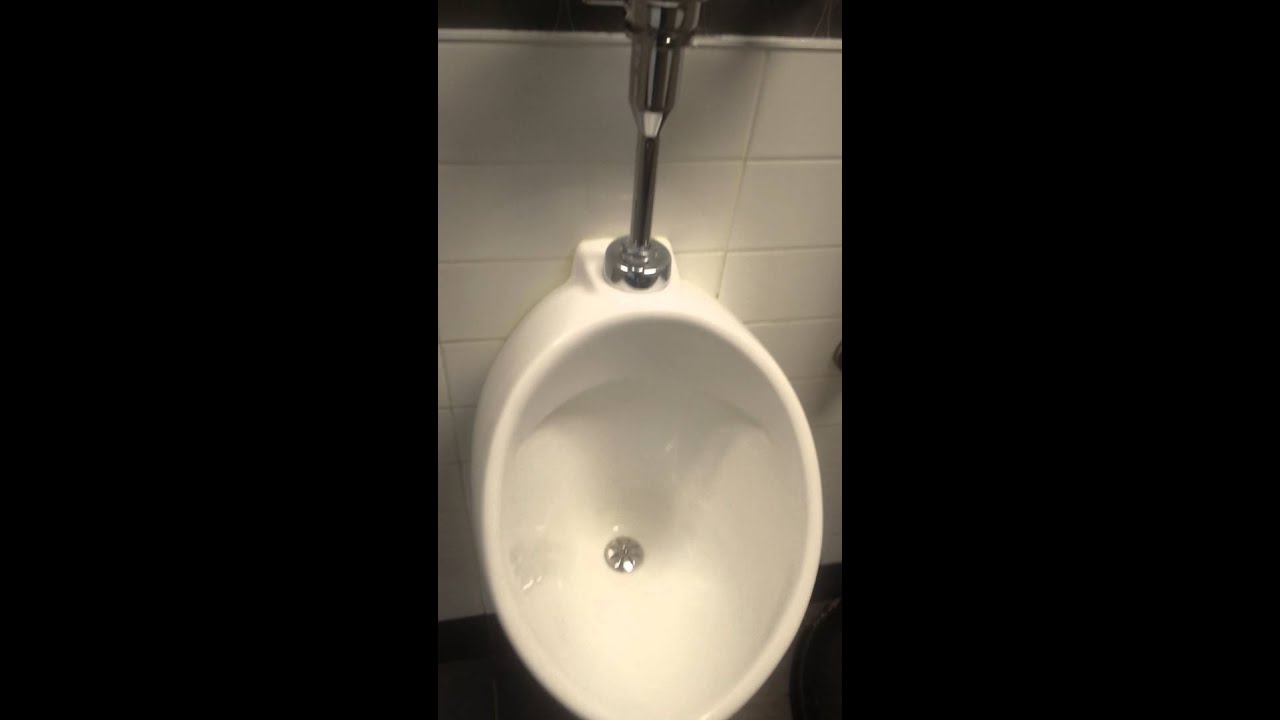 Another one of these Toto Toilets & Fancy Urinal - YouTube