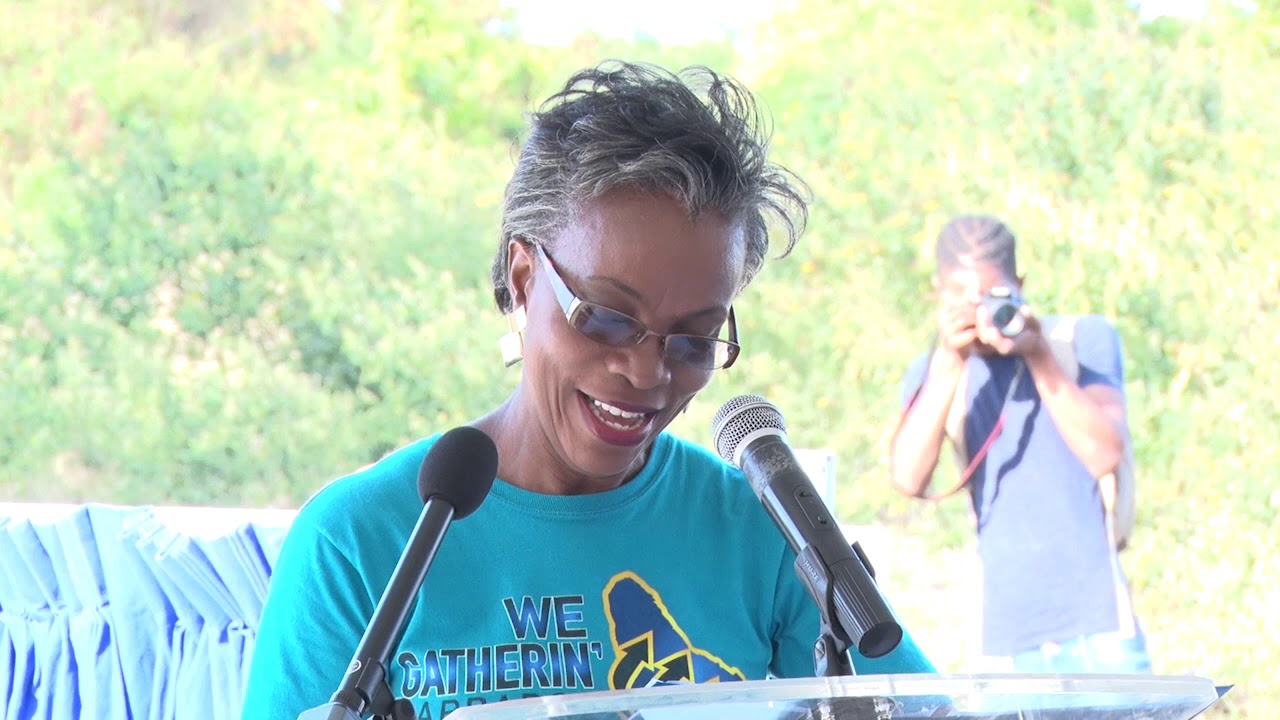 Unveiling of Plaque in Honour of the Rt. Excellent Errol W. Barrow ...