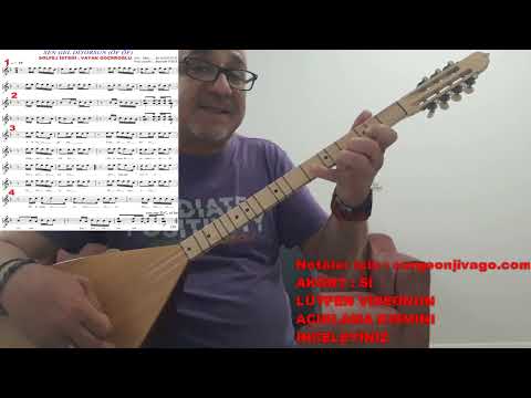 SOLFEJ V2 SEN GEL DİYORSUN ÖF ÖF KISA SAP BAĞLAMA EKLEYEN SURGEON