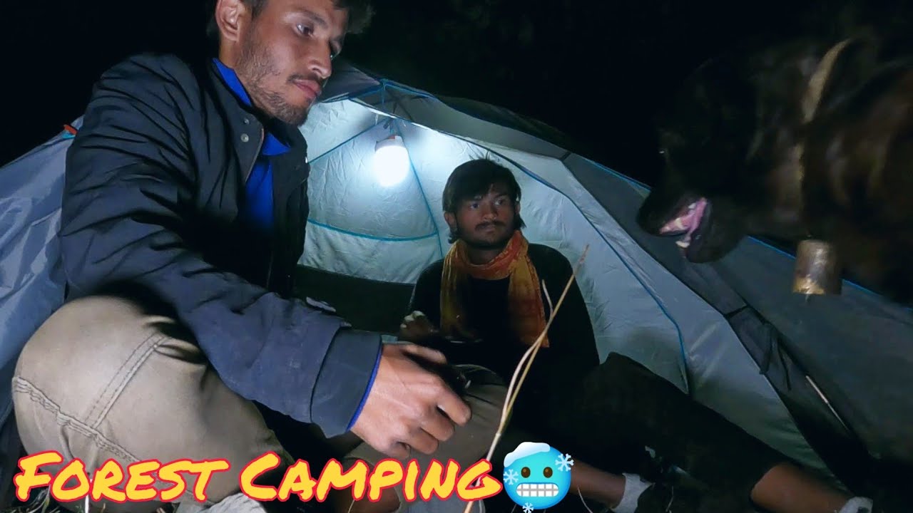 Overnight Camping In Dangerous Forest | Winter Camping In Extreme Cold ...