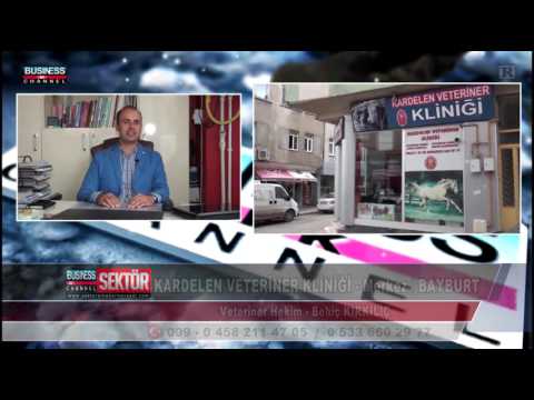 BAYBURT MERKEZ VETERİNER KLİNİĞİ - KARDELEN VETERİNER KLİNİĞİ