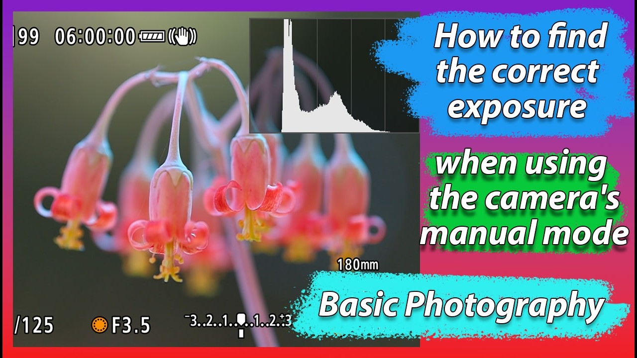 How to find the correct exposure when using the camera's manual mode ...