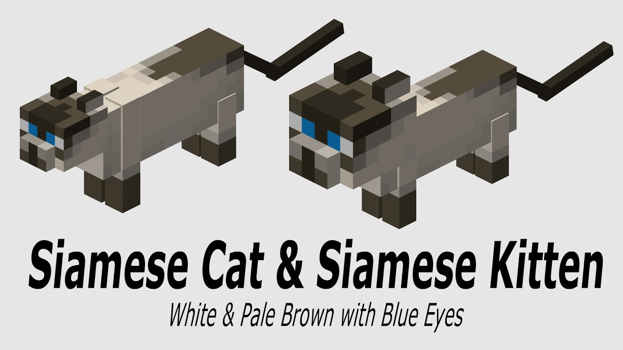 MINECRAFT Tutorial | Behavior of CATS | Java & Bedrock Edition | Rosey ...