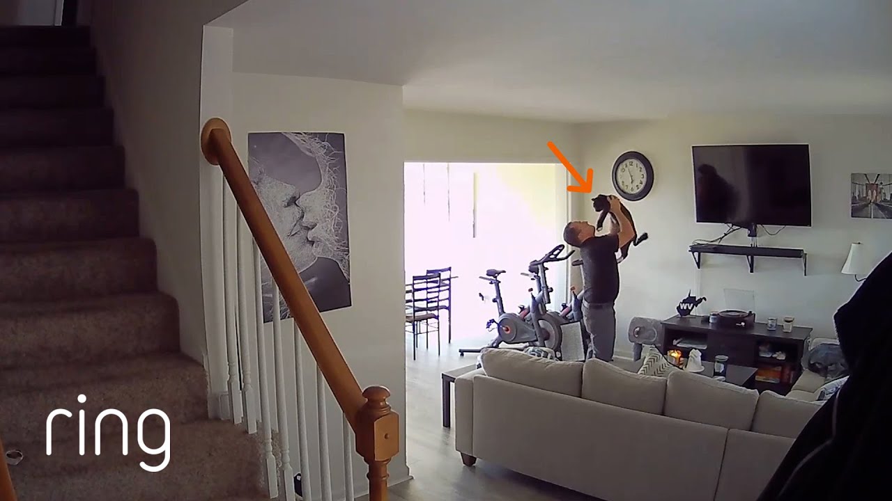 Man About To Clean House, Dances With Cat Instead | RingTV - YouTube