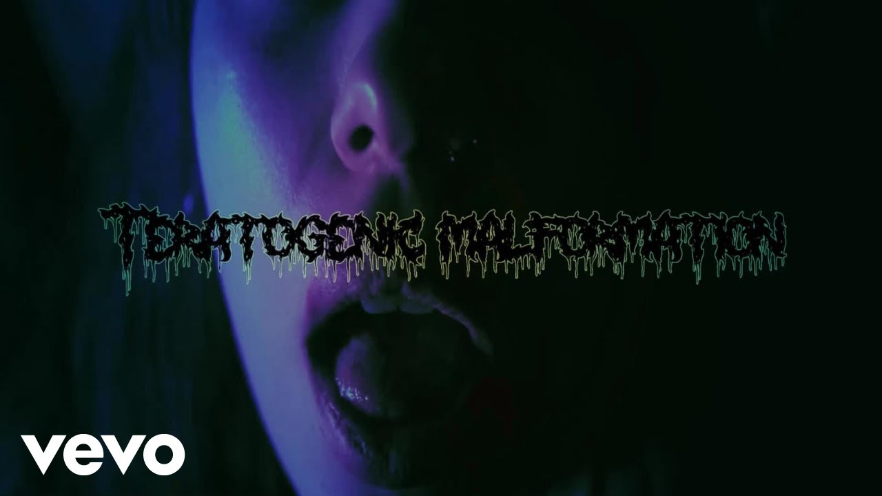 Wurm Flesh - Teratogenic Malformation (Lyric Video) - YouTube