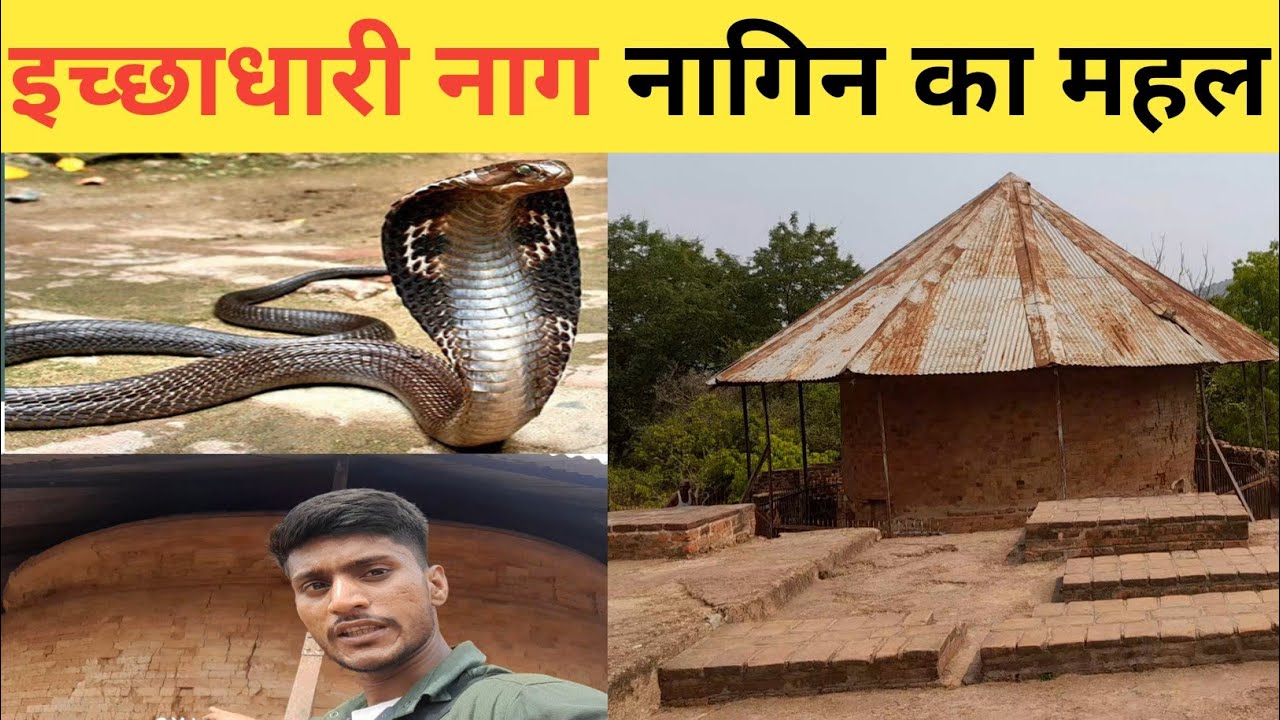 maniyar math temple rajgir/maniyar math rajgir history/यहां आज भी ...