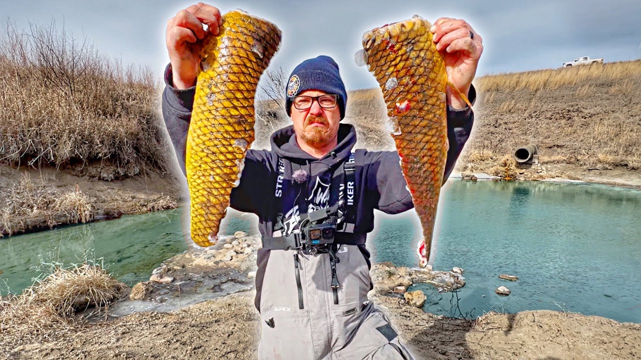 Tiny Spillway Carp CATCH CLEAN COOK!!! - Mtn Dew Smoked Carp Ribs - YouTube