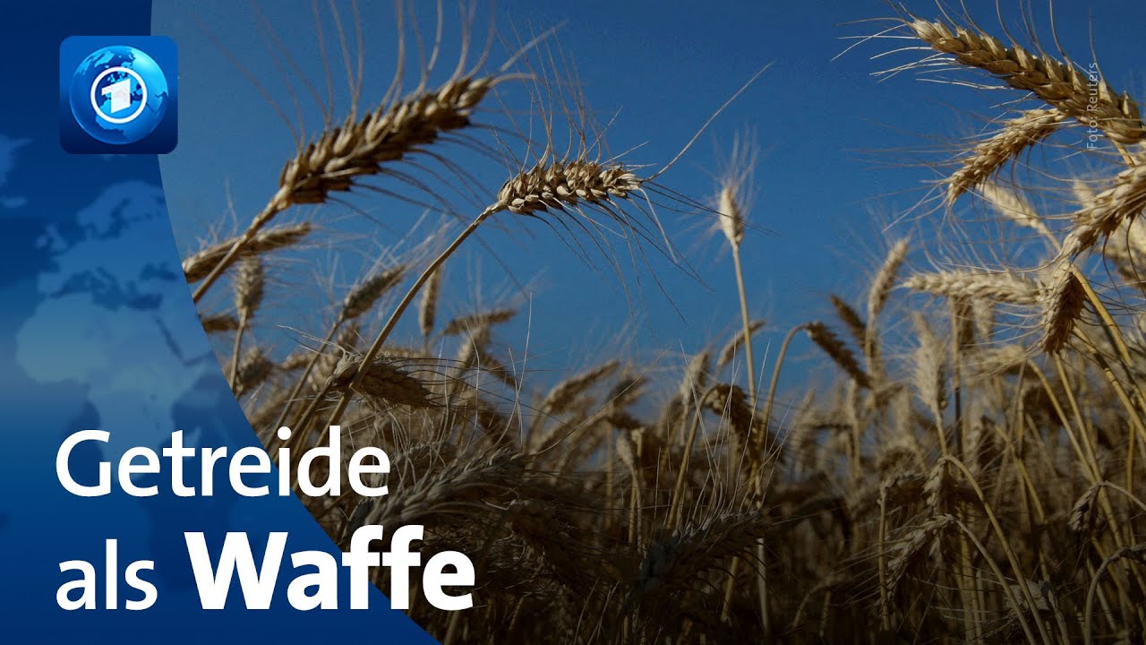 Getreideillustration