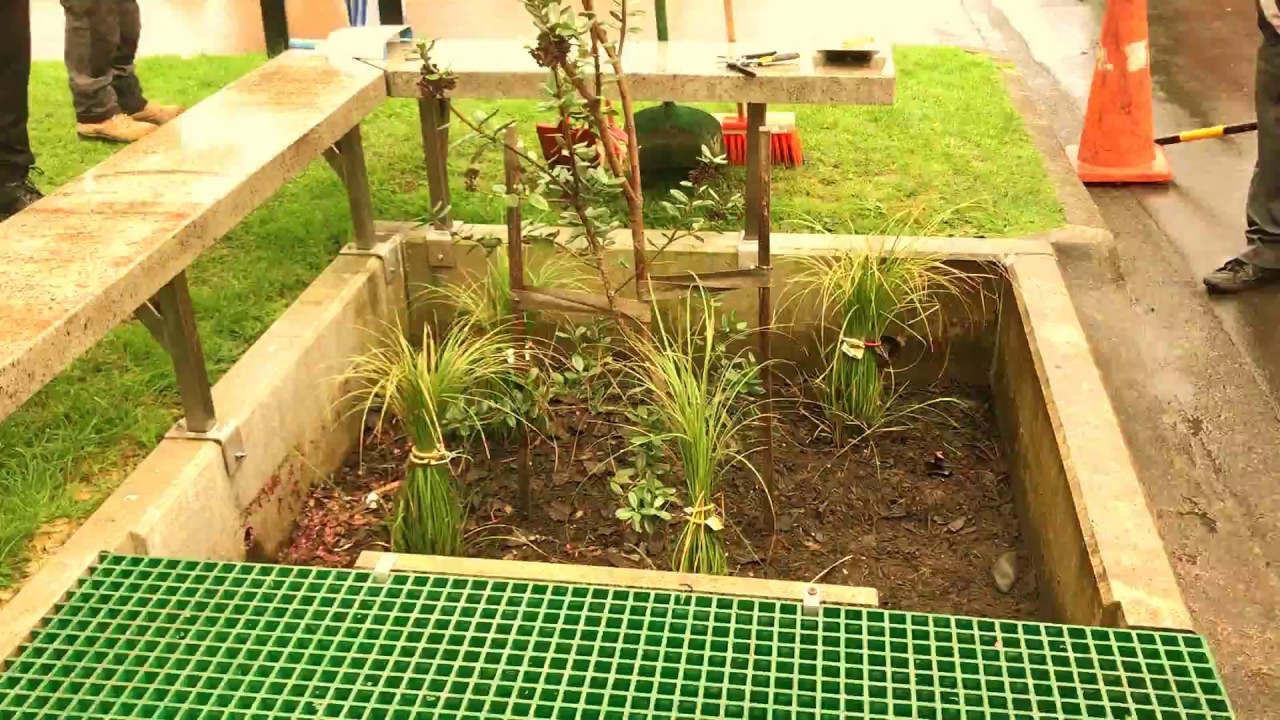 Auckland Botanical Gardens Filterra® Maintenance Demo (Time lapse ...