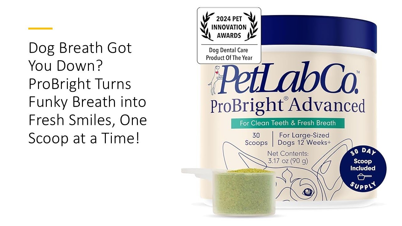 Dog Breath Got You Down? ProBright Turns Funky Breath into Fresh Smiles ...