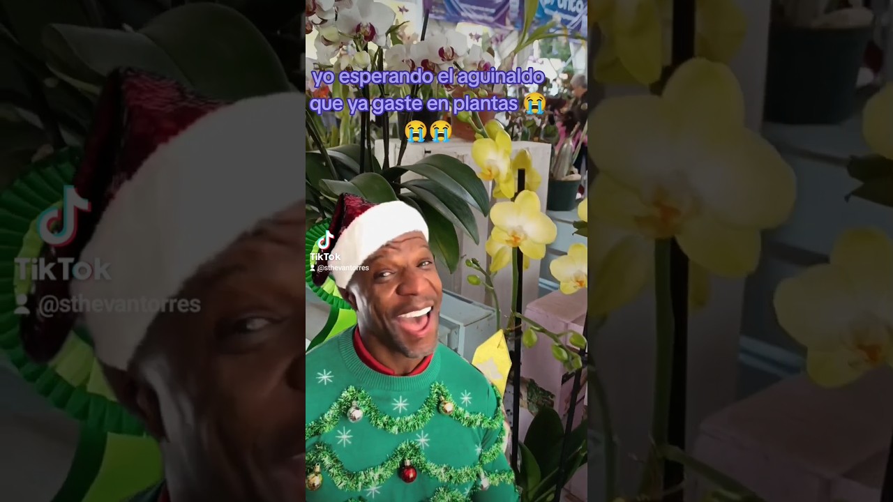 YO ESPERANDO EL AGUINALDO QUE YA GASTE EN PLANTAS 😭😭😭 - YouTube