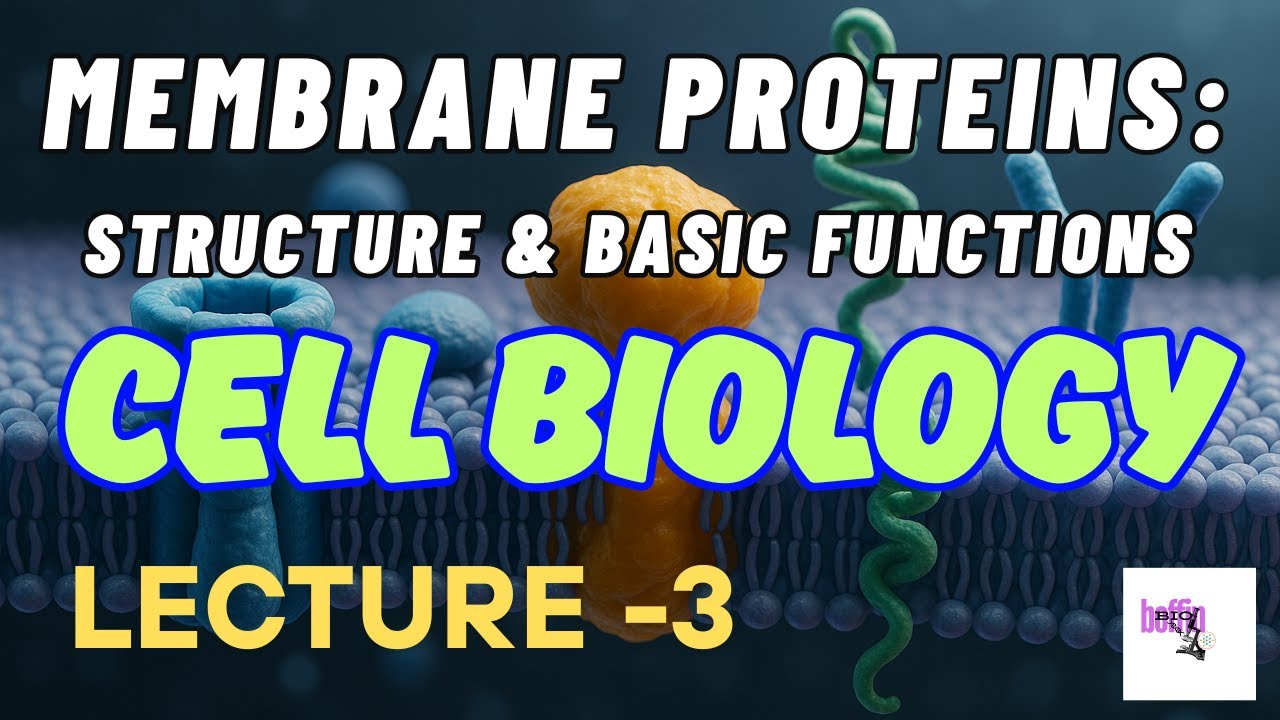 MEMBRANE PROTEINS | BASIC STRUCTURE & FUNCTION | CELL BIOLOGY | LECTURE ...