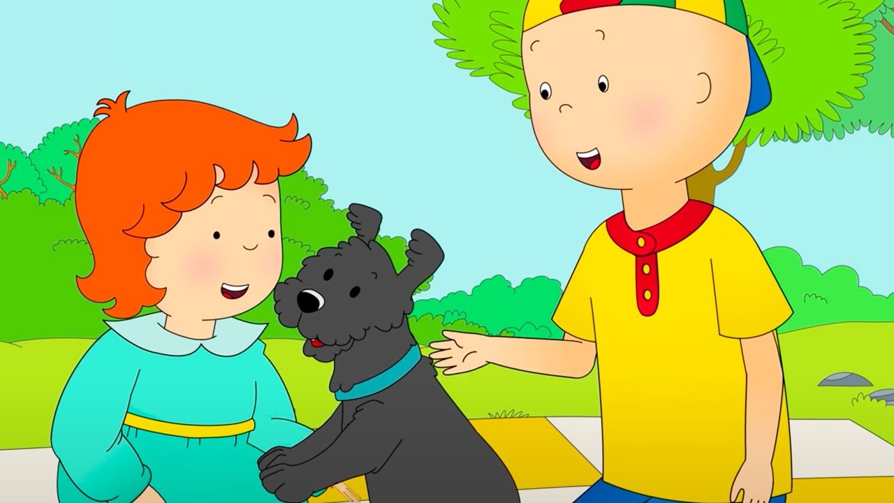 Caillou and the Puppy | Caillou Cartoon - YouTube