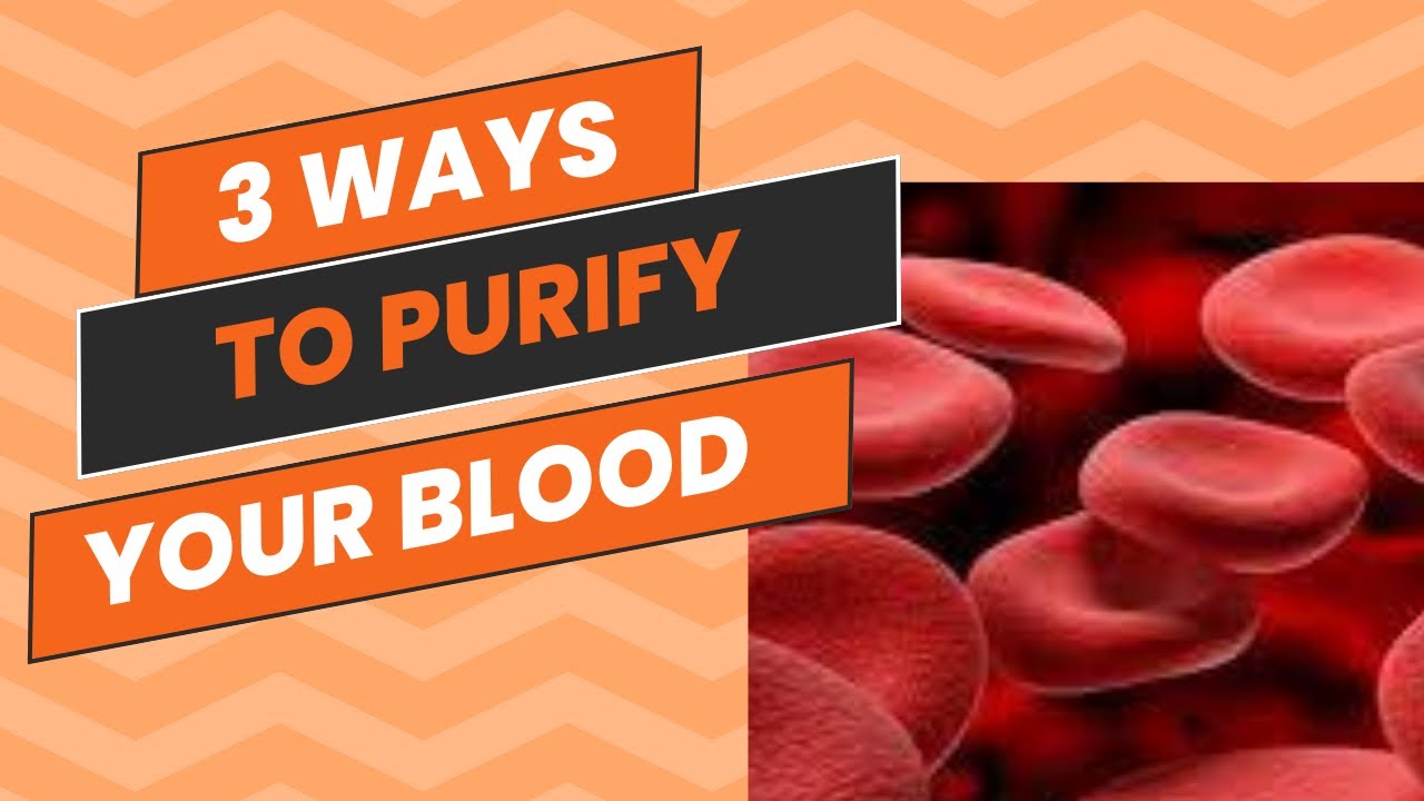 3 Ways To Purify Your Blood - YouTube
