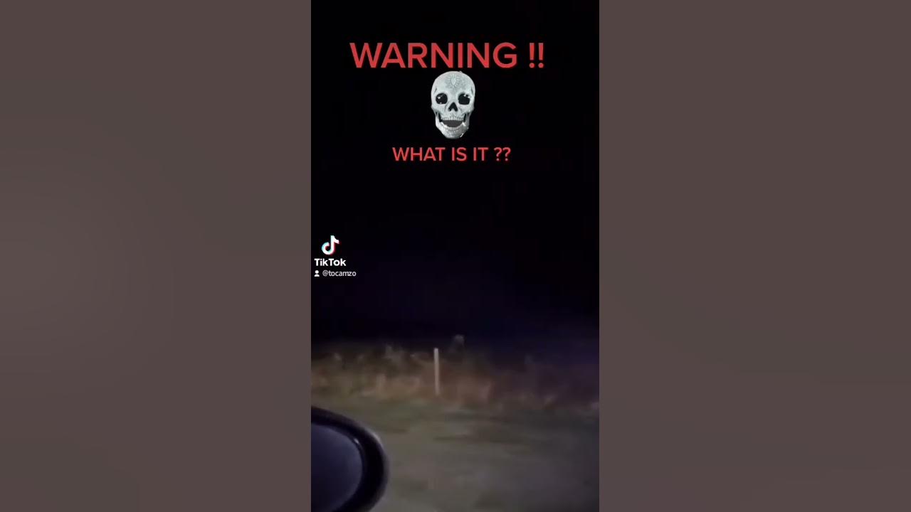 Rake Caught On Camera Youtube