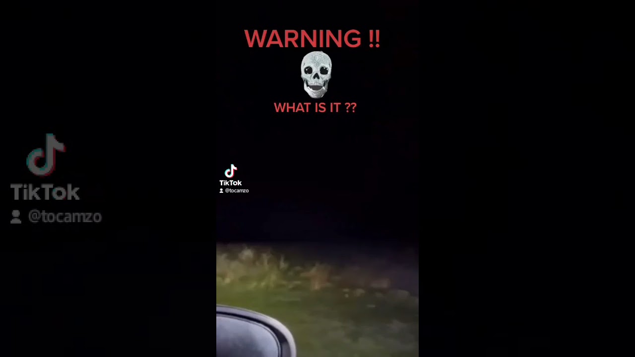 Rake Caught On Camera Youtube