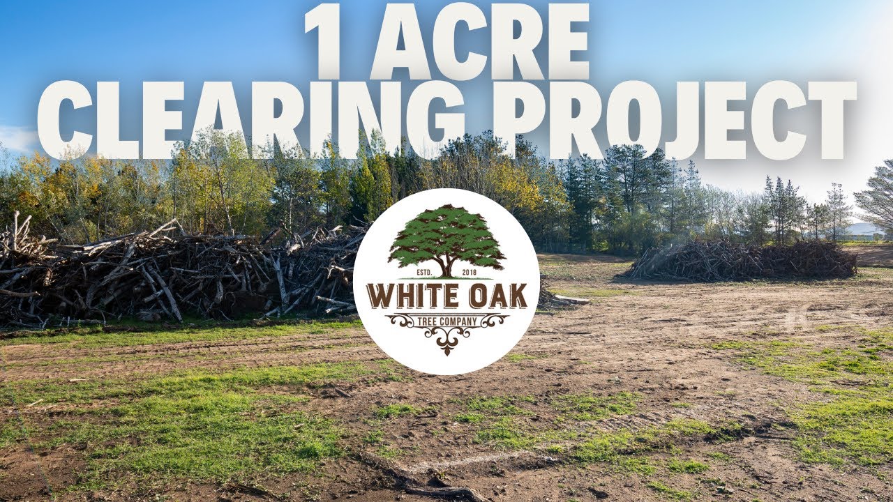 1 Acre Clearing Project - White Oak Tree Co. North GA - YouTube