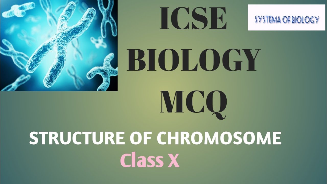 ICSE class 10 Biology MCQ 1Semester, ICSE class 10 MCQ Structure of ...