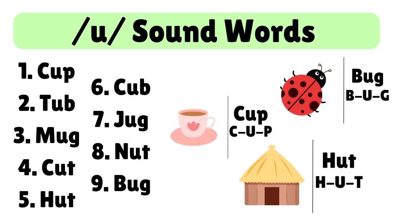 /u/ Sound Words || Easy Daily Use English For Kids And Toddlers ...
