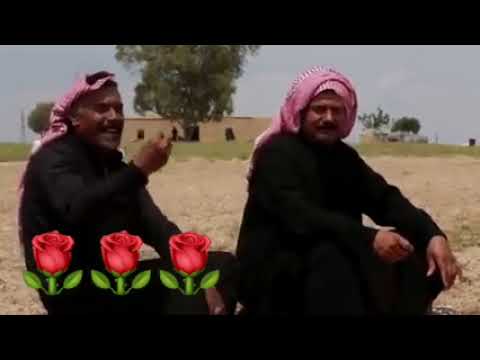 hatay reyhanlı şanlı urfa arapça şarkı zammır şebep