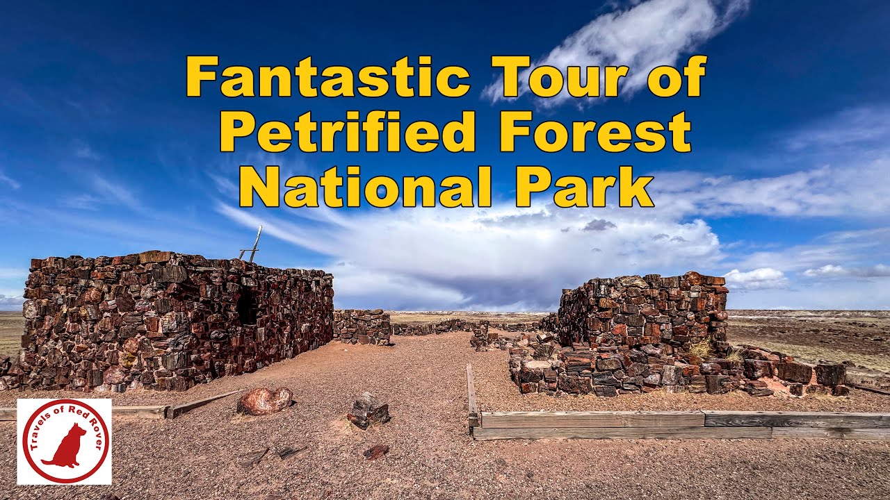 Fantastic Tour of Petrified Forest National Park #petrifiedforest # ...
