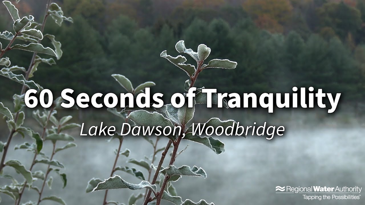 60 Seconds of Tranquility at Lake Dawson in Woodbridge - YouTube